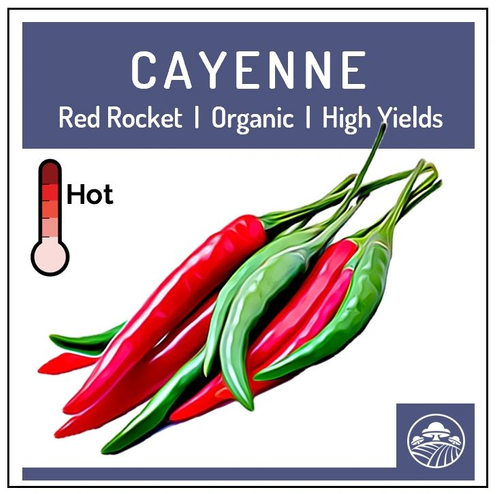 Cayenne | Red Rocket Seeds | Farm at Cloud 39
