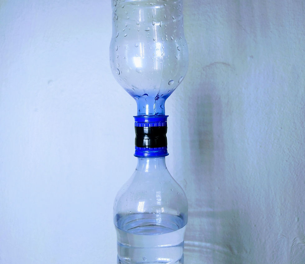 Scientist activity for kids at home: how to make a vortex in a bottle