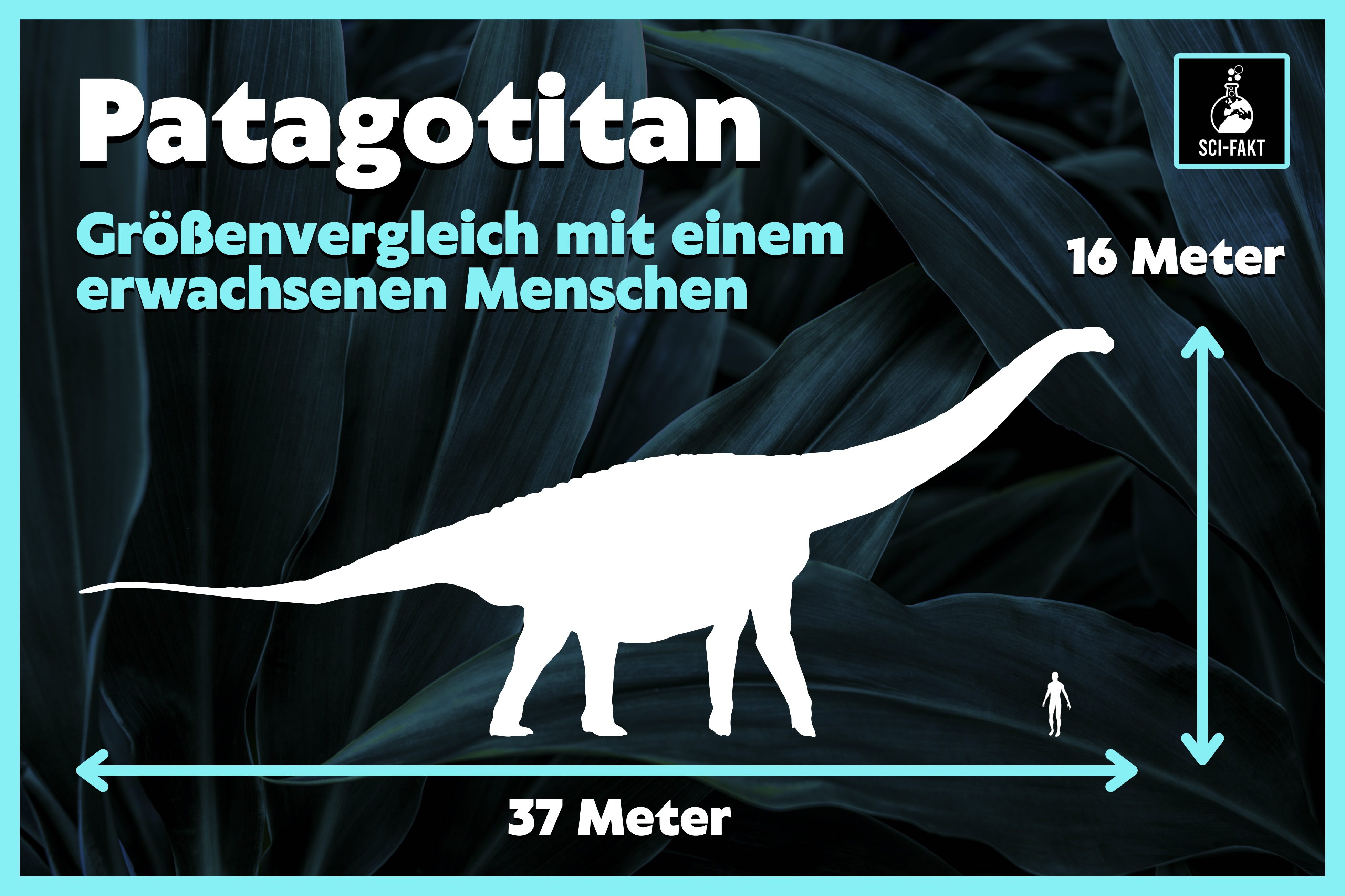 Die 10 größten Dinosaurier der Welt | Ein Überblick