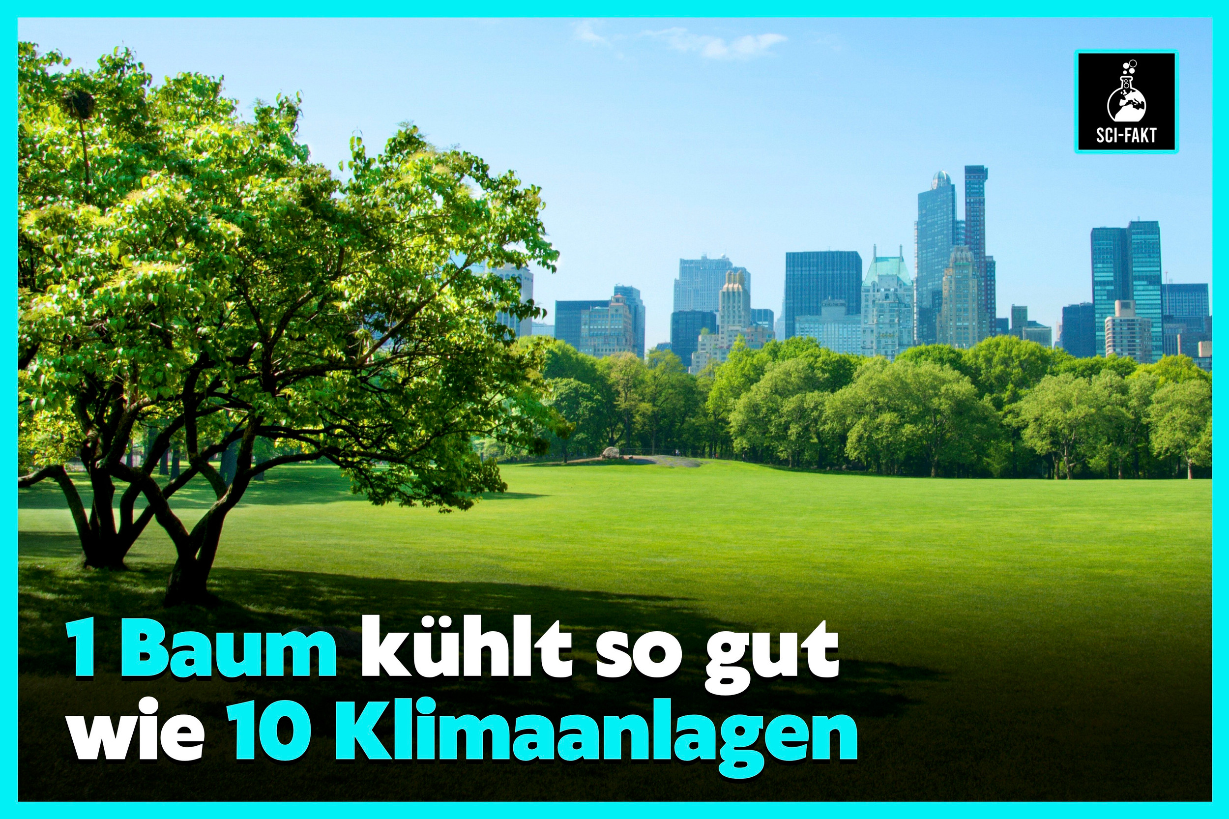 Ein Baum so stark wie 10 Klimaanlagen: Wie Bäume unsere Städte kühlen