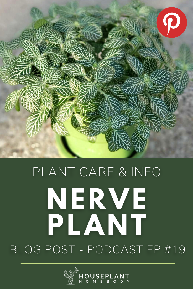 Nerve Plant- Plant Bio: Podcast Ep#19