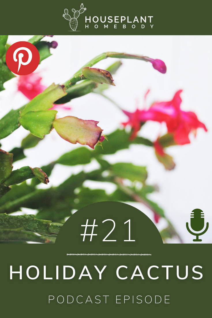 Holiday Cactus Plant Bio: Podcast Ep#21