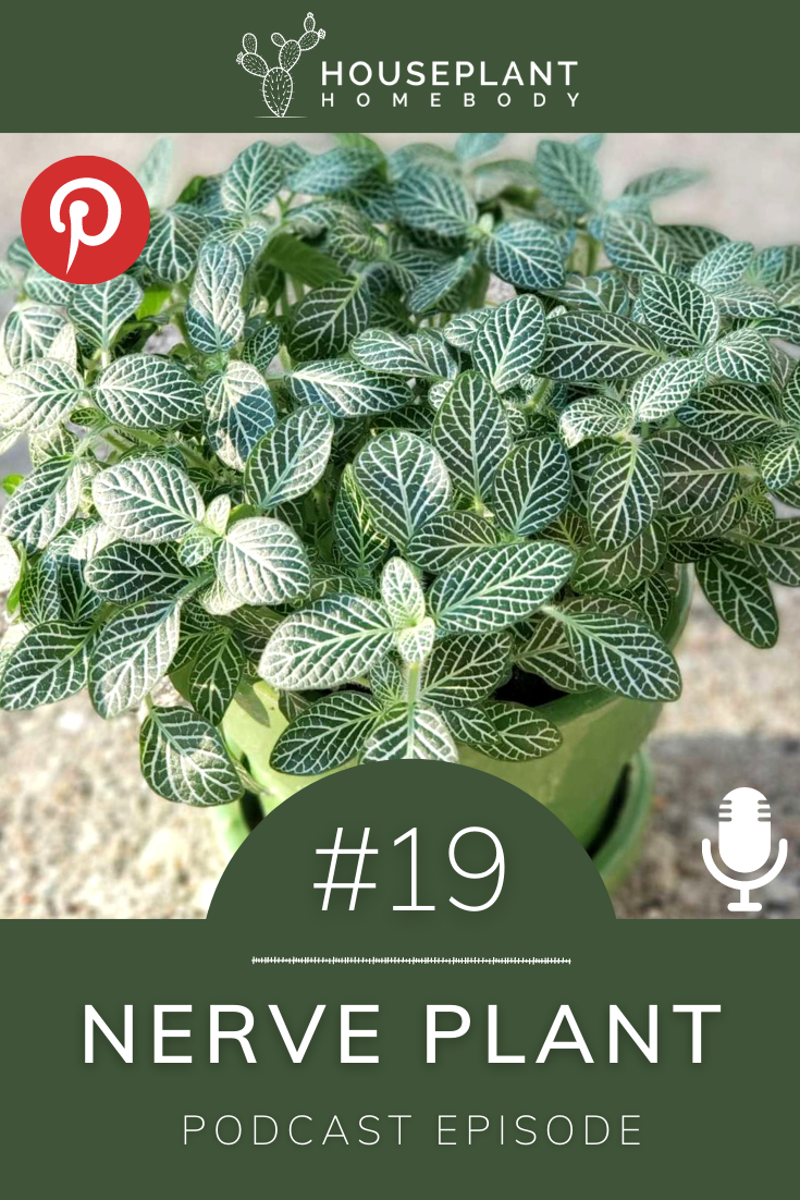 Nerve Plant- Plant Bio: Podcast Ep#19