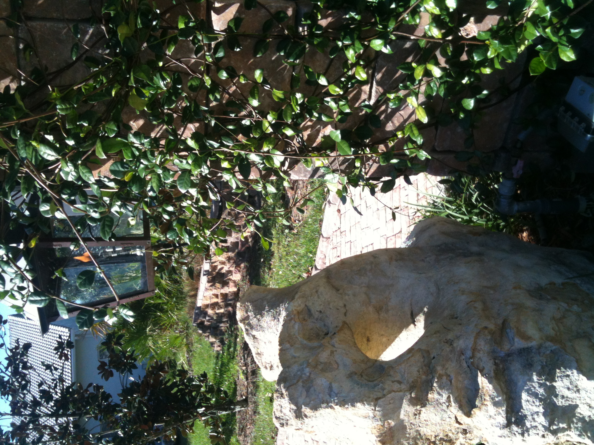 Gan Aaron - The Aaron Beauchamp Garden