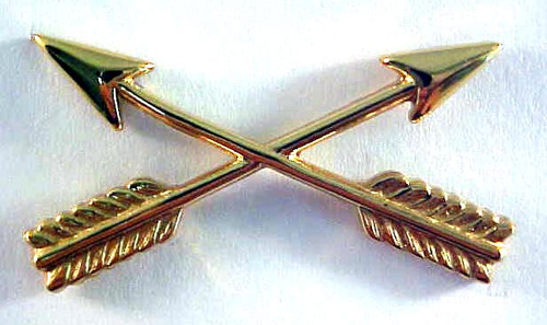 Army Officer Branch of Service Special Forces (OPS) | Greenberetcd