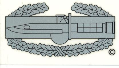 Combat Action Badge | Greenberetcd