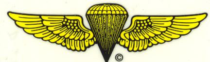 USMC/USN Paratrooper Badge | Greenberetcd