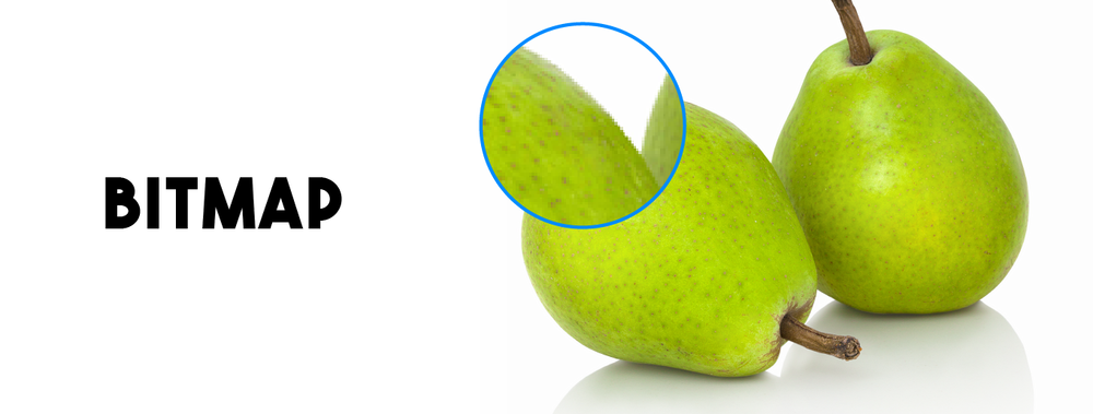As diferenças entre arquivos Bitmap e Vetor.