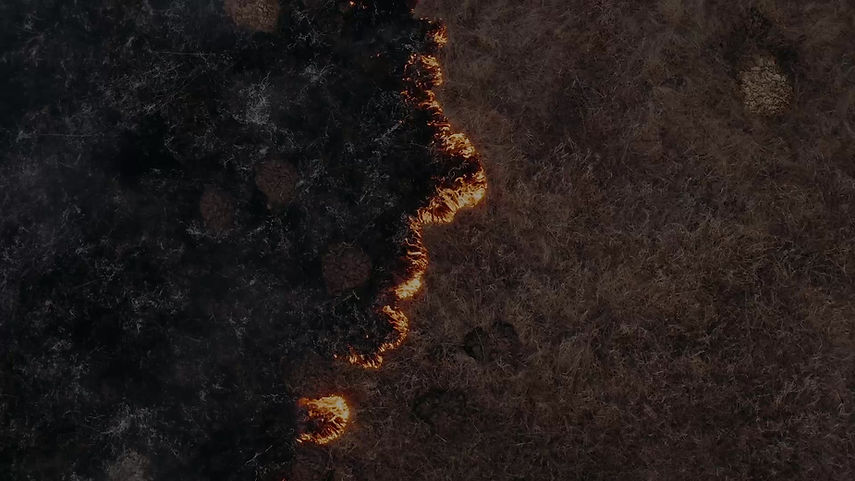 Environmental Data & Insights | Land Insight