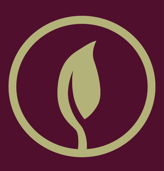 iBOOK EVOLUCION Gratuito | kuuk