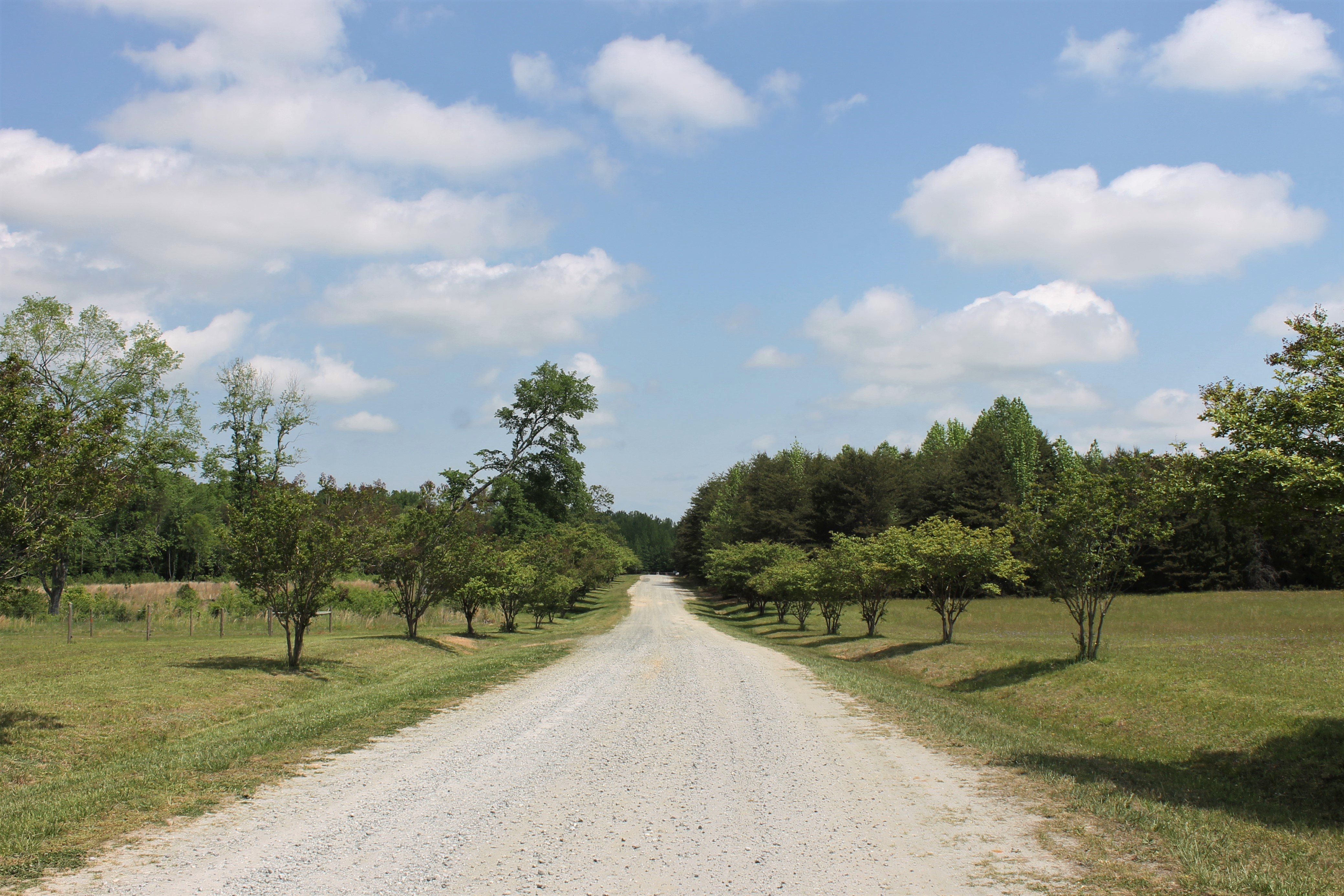 CONTACT US | bar-s-ranch