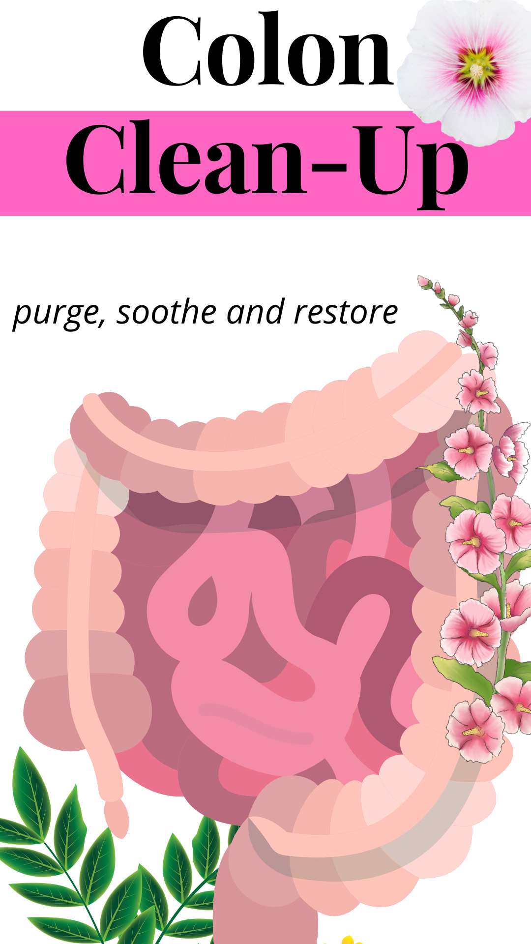 Colon Clean out: Detoxing the System Safely | Yahs Apothecary