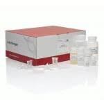 PURELINK™ GENOMIC DNA MINI KIT, 10 PREPS | Dibbiotek