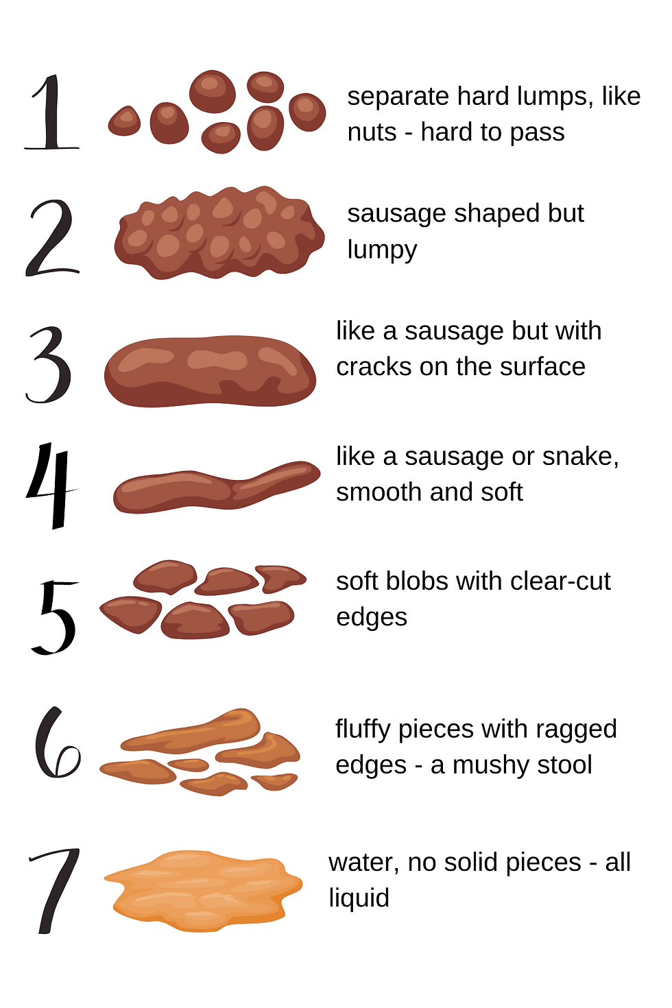 What is your stool telling you about your health?
