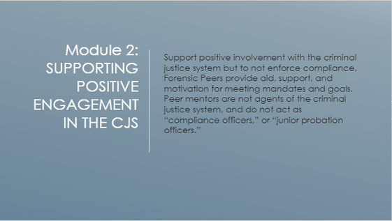 Forensic Peer Support | Peer Supports Academ