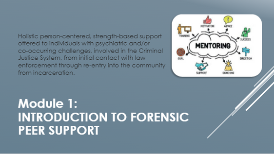 Forensic Peer Support | Peer Supports Academ