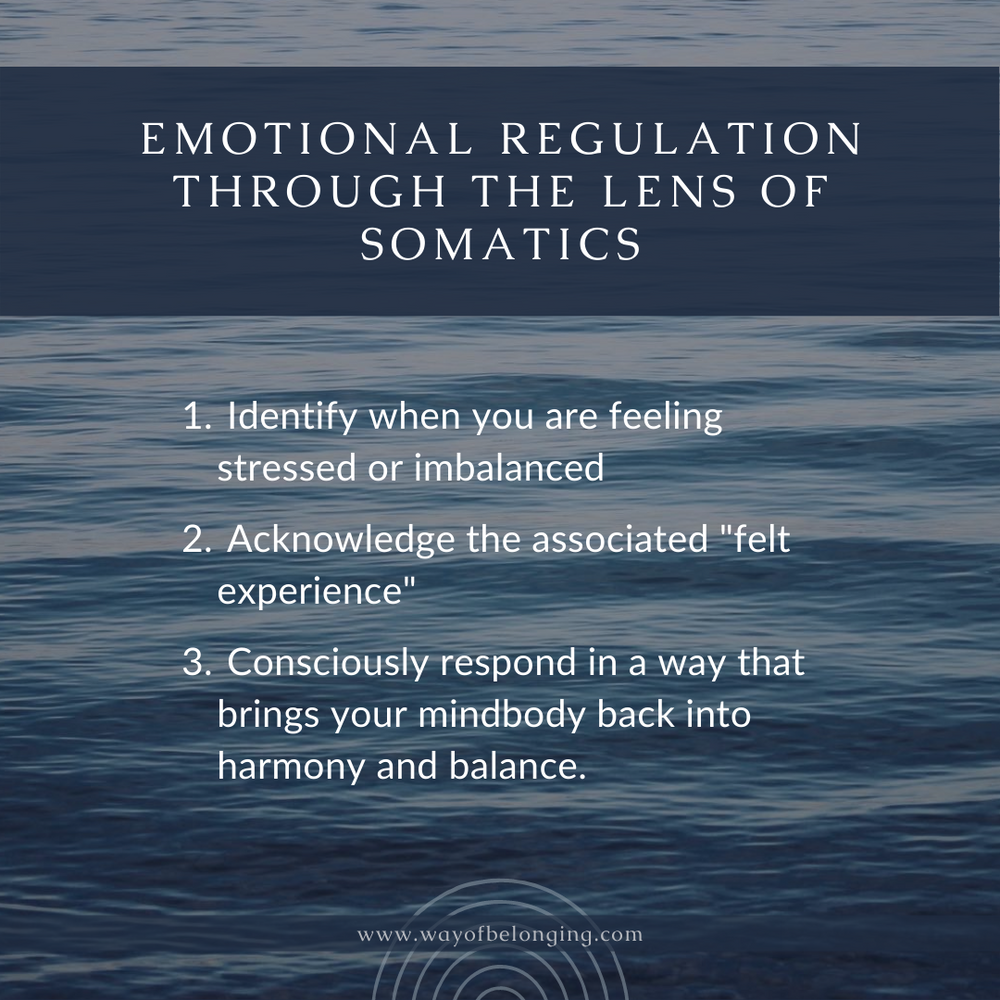 Guided Meditation for Emotional Regulation