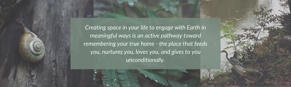 Bioregionalism in 7 Easy Steps