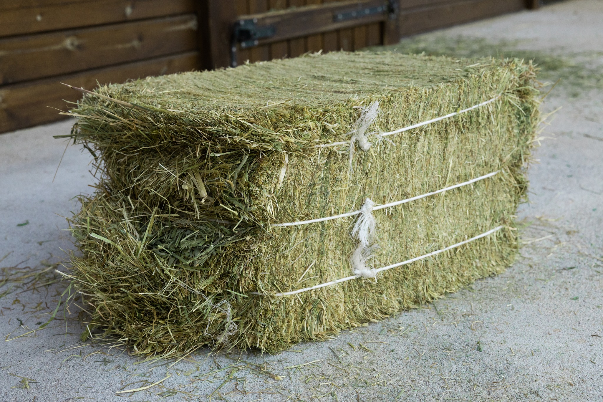 Prime Hay Portugal | Quality Horse Hay