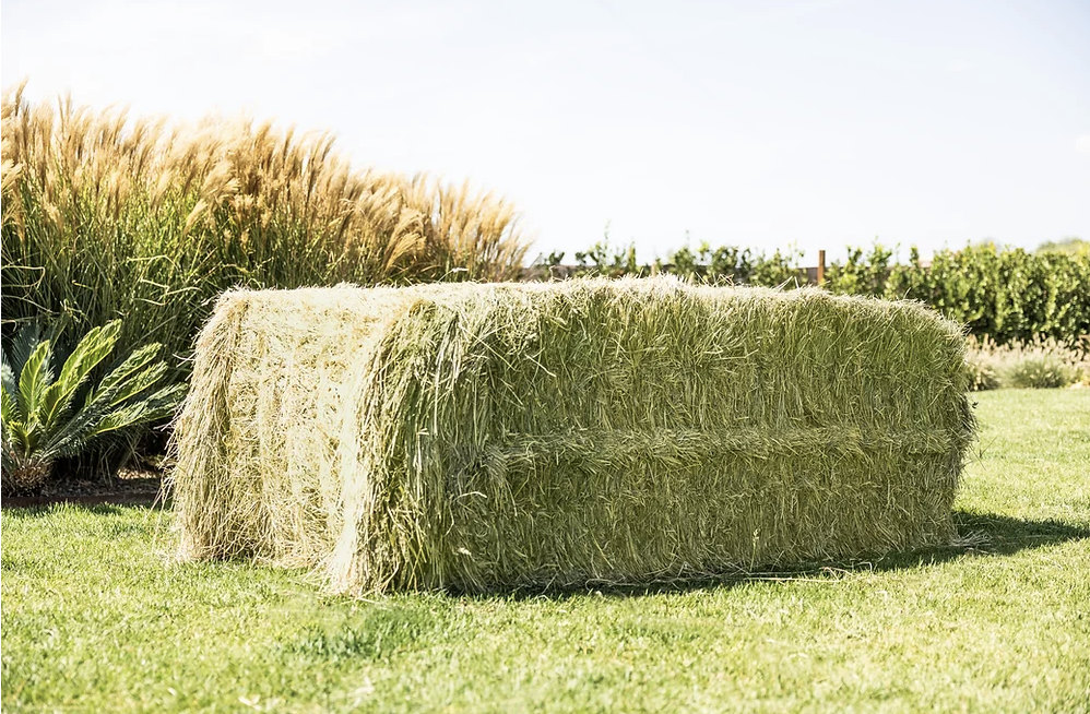 Prime Hay Portugal | Quality Horse Hay