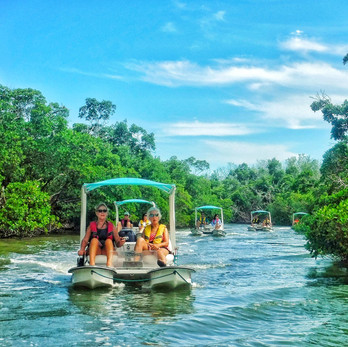 Boat Sales | Backwater