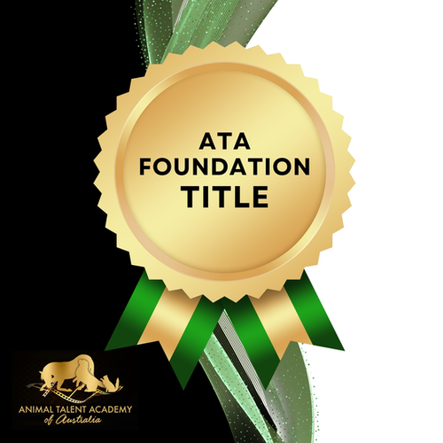 FOUNDATION TITLE | Animal Talent Academ