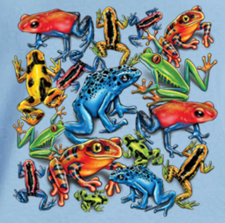 Frogs T-shirt Transfers 12pc | Stock Transfers