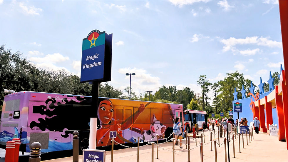 The Best Guide To Disney World Transportation