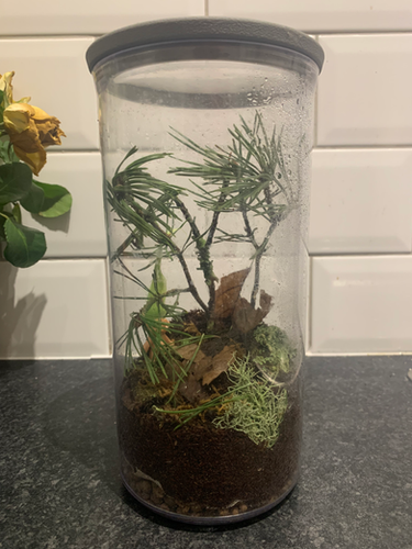 Cylinder enclosure | Pods and Spoods