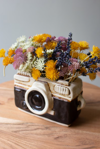 Ceramic Camera Planter | Opaline Interiors