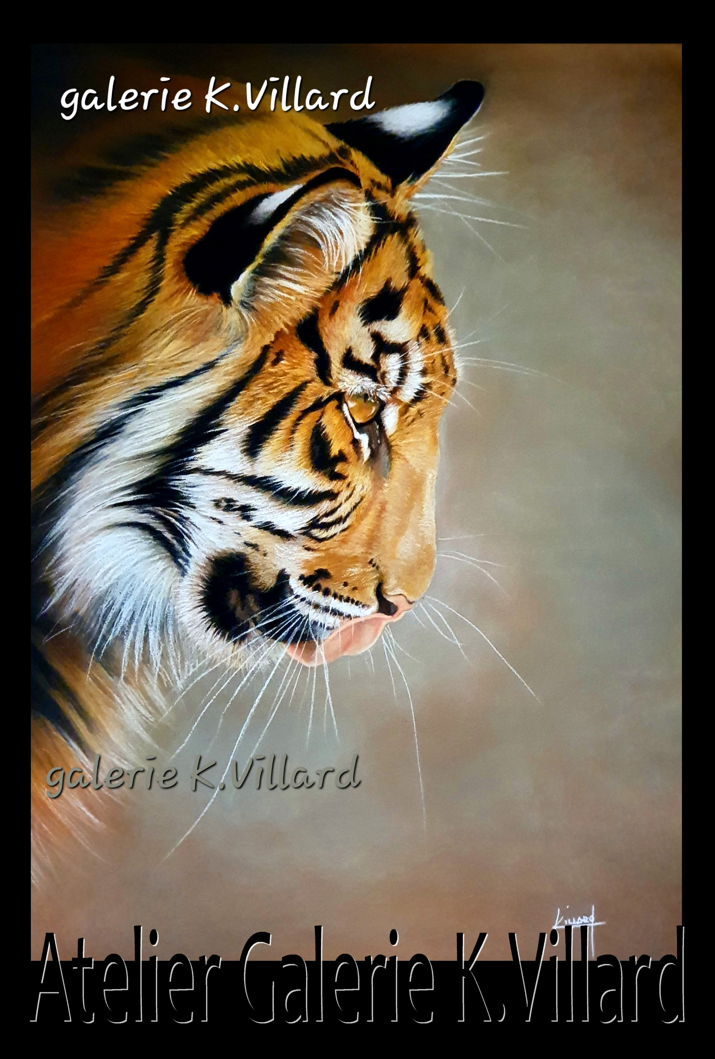 Atelier K. Villard , dessin,peinture,art figuratif