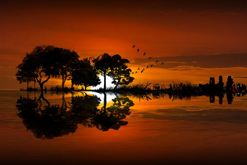 ProSpec Strings | Stringed instrument accessories