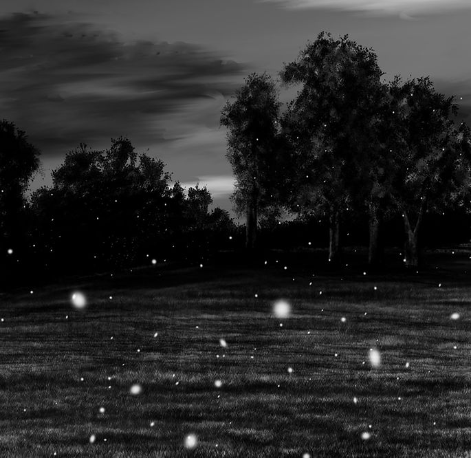 Oracle Cards and Card Reading | The Southern Backwoods Oracle ...