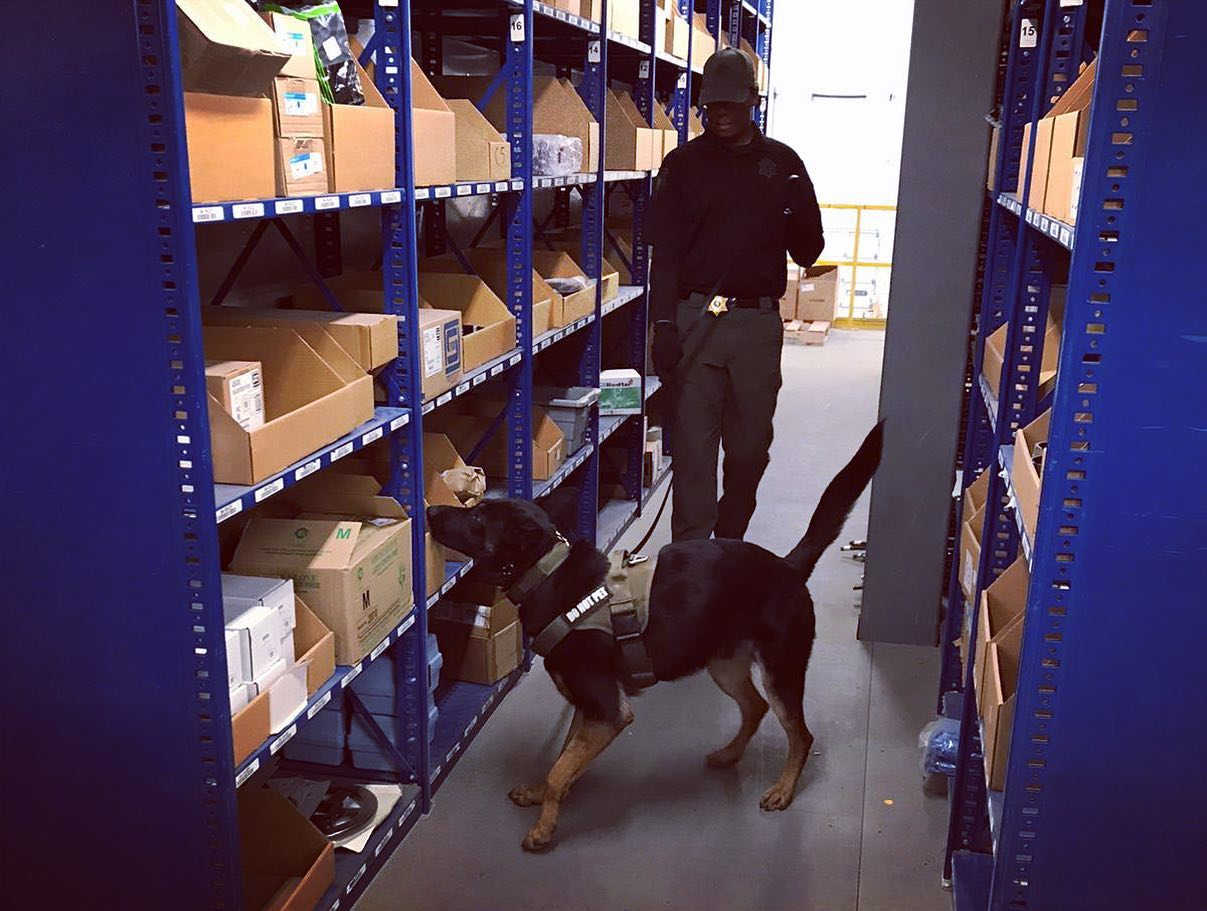 Security Officers | Protective Force International | United States