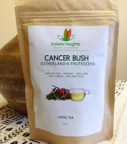 Cancer Bush Tea | holisticheights