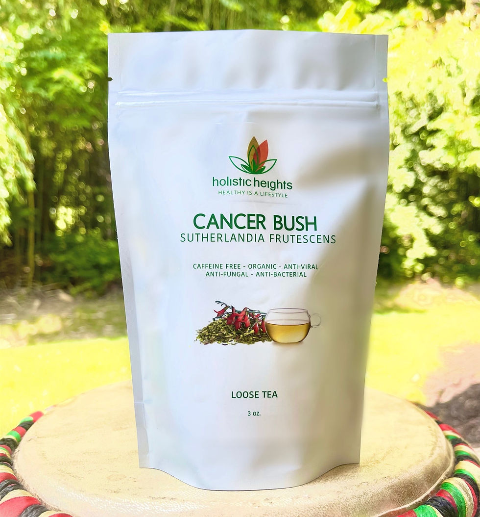 Cancer Bush Tea | holisticheights