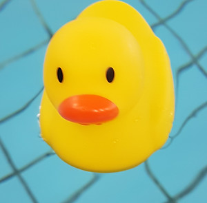 Private swimming tuition | SwimHapus | Wales