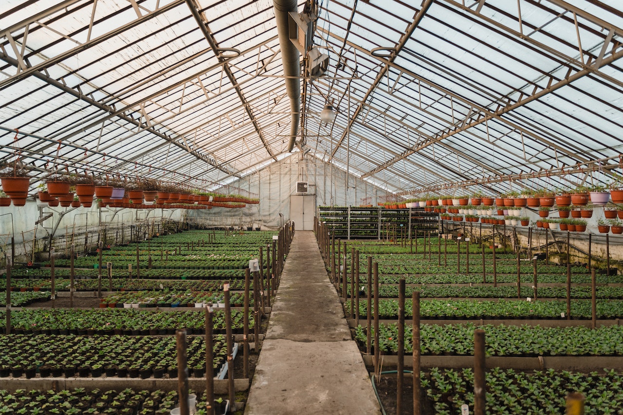 Maximizing Greenhouse Irrigation Efficiency with Sand Media Filters ...