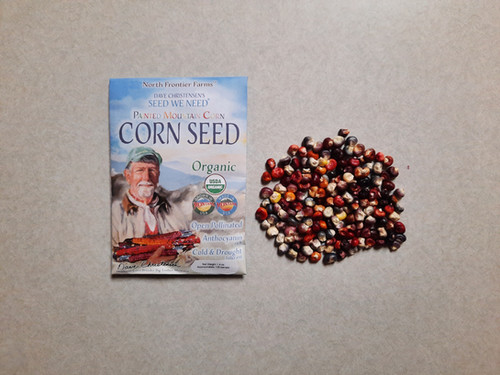Painted Mountain Corn 2023 seed - 1.4. oz (approx. 135 kernels) | North ...