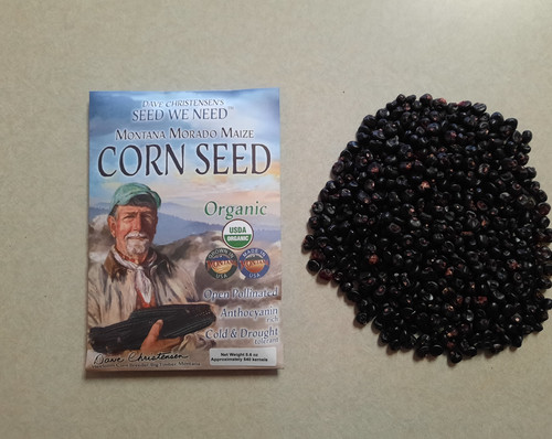 Montana Morado Maize 2025 seed - 5.6 oz (approx. 540 kernels) | North ...