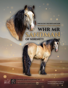 Equestrian Website Design, SEO, & Branding | Equine Web Designer