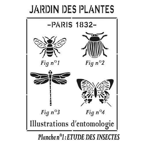 Planche insectes | LUCIDAYS