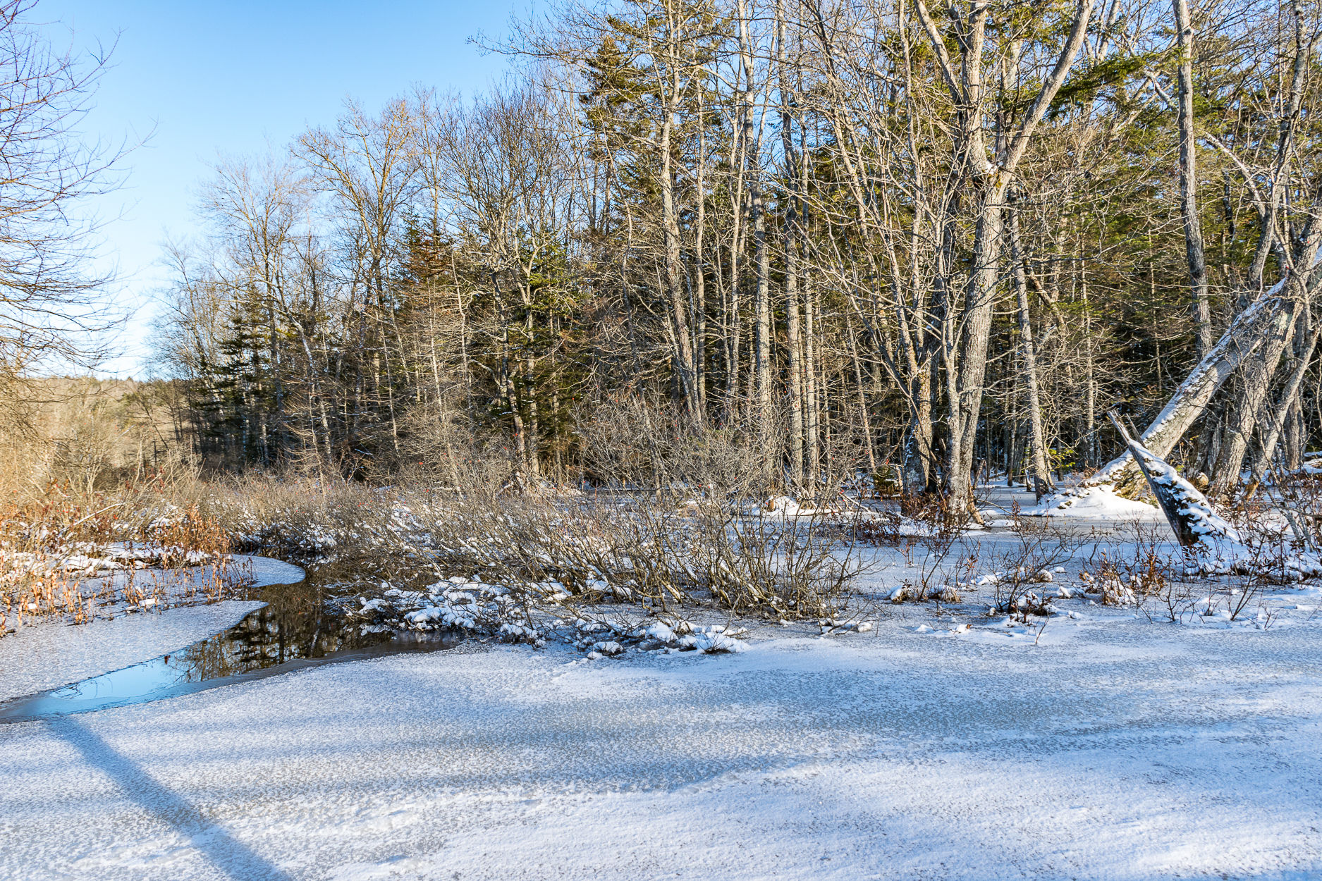 The Bear's Den | Adirondacks Lodge | Caroga Lake, NY