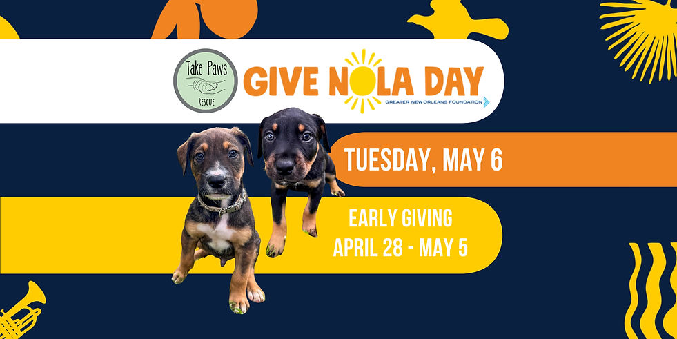 Animal rescue | Take Paws Rescue | Louisiana