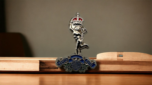 BI-Pin Badges | All Arms PRI