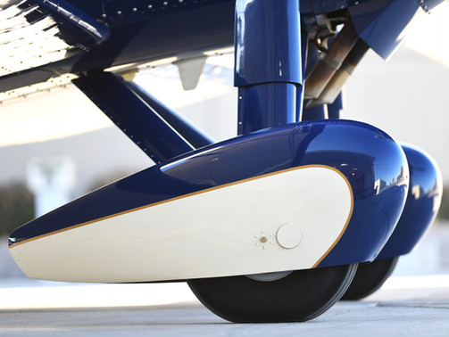 Great Lakes by WACO | Brand New Aerobatic Biplane