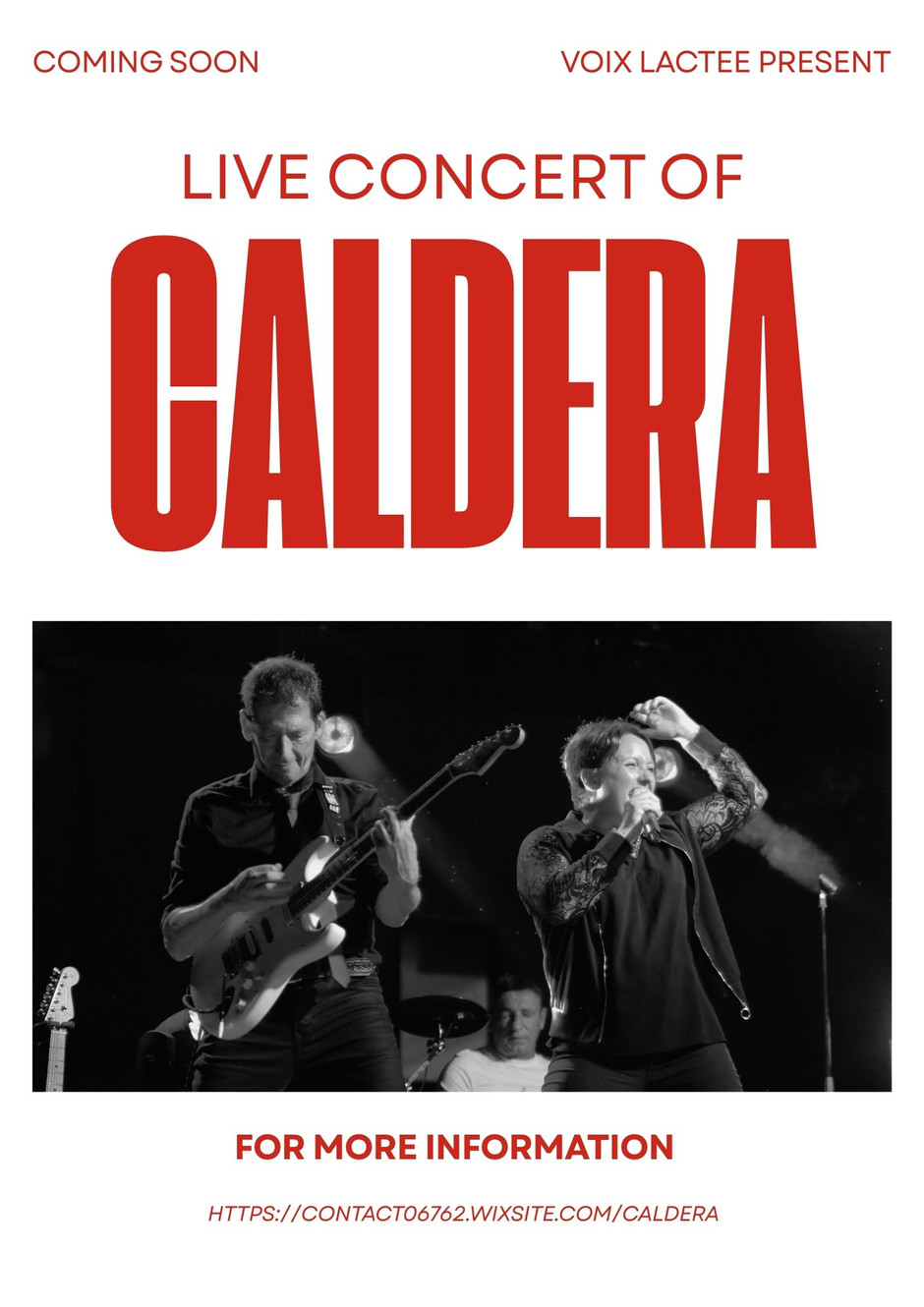 Le groupe | CALDERA Quatuor rock