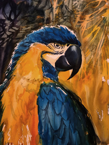 Original Watercolor Demo "Crackers" | BeckerArt