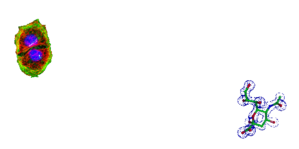 Home | AMR at C-CAMP