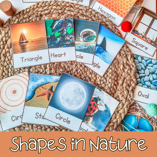 Reggio Emilia, Shapes in Nature, Flashcards, Preschool Printables | Mom ...